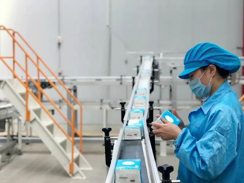 Hewbonn Paper: Pioneering Excellence in Tissue Paper Innovation